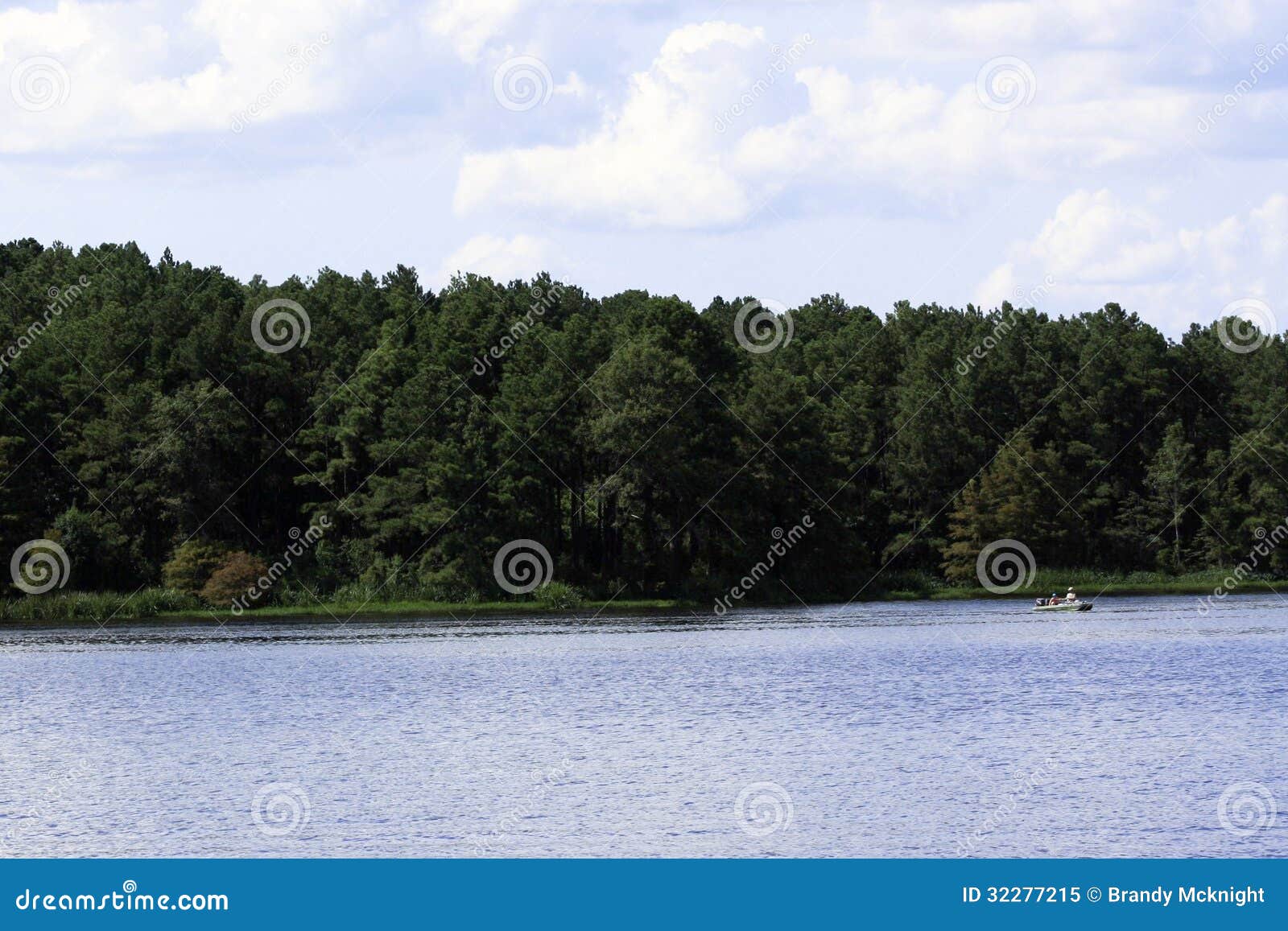 Lake Shore stock image. Image of reflection, plant, lake - 32277215