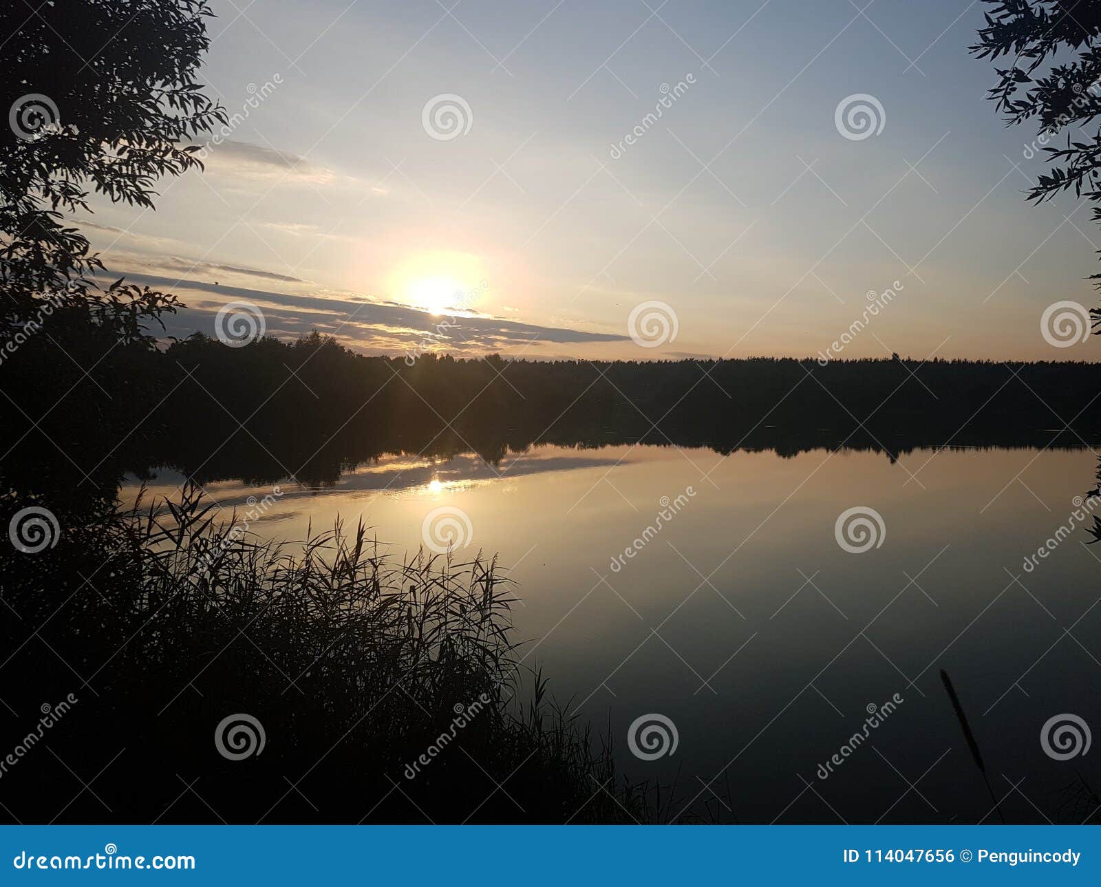 Lake shore view stock photo. Image of sunset, lake, view - 114047656