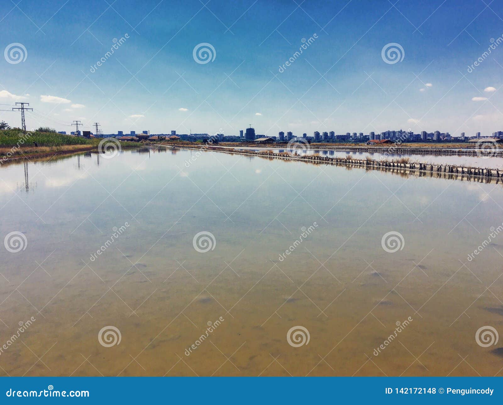 Lake shore view stock photo. Image of salty, lake, view - 142172148