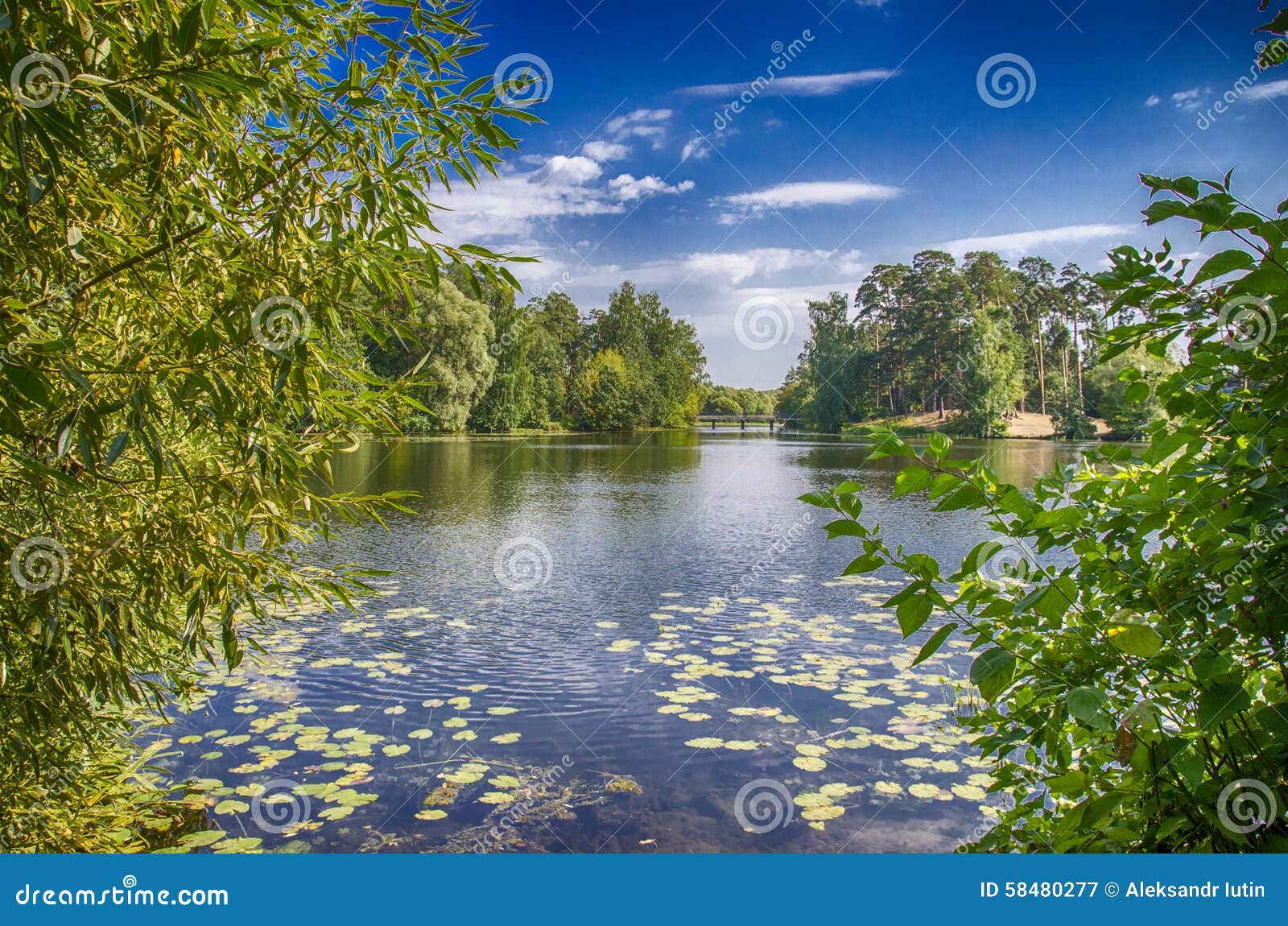 The lake shore stock image. Image of water, season, grass - 58480277
