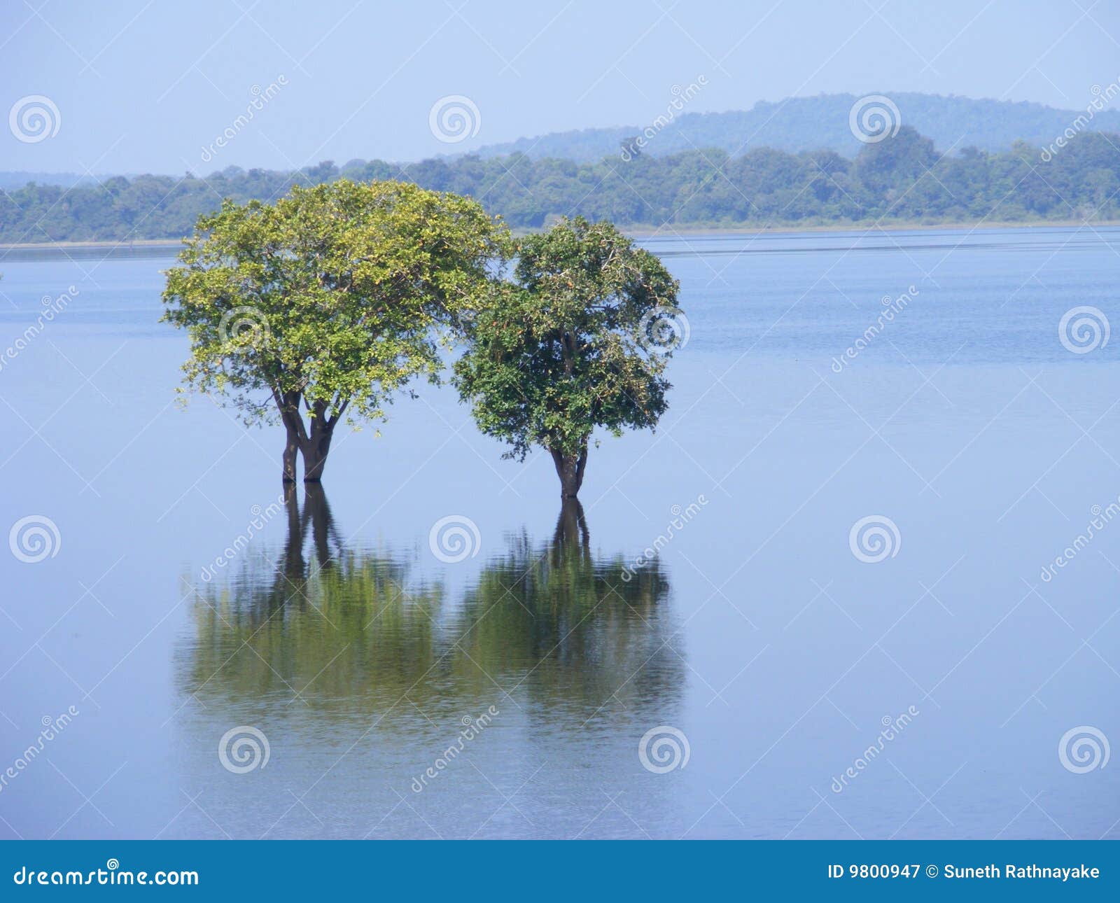Lake side stock image. Image of sunlight, nature, water - 9800947