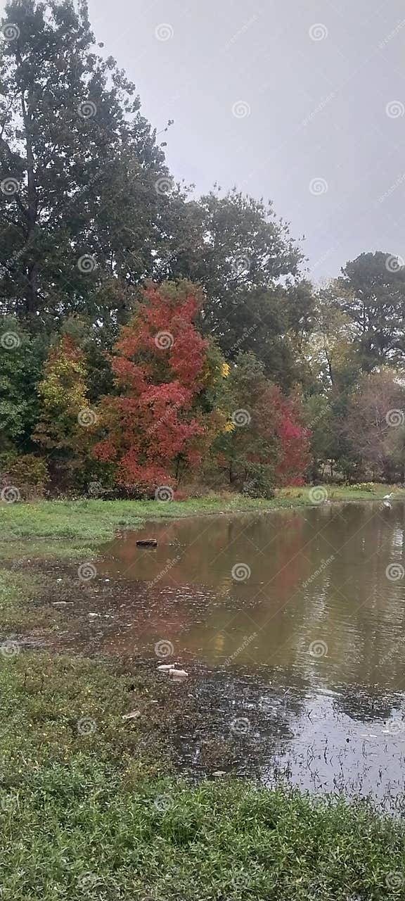 The Lake-side Fall Reflection Stock Photo - Image of landscspe, fall ...