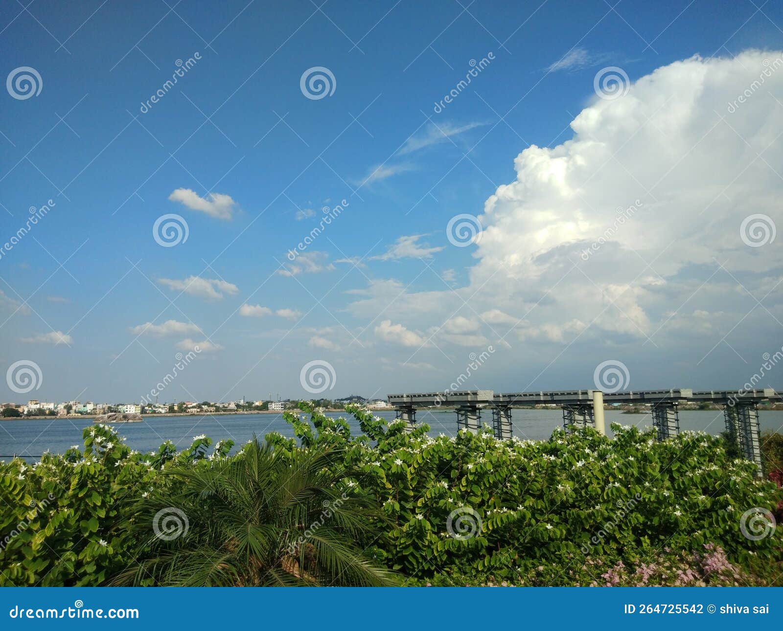 Lake side garden view stock photo. Image of side, lake - 264725542