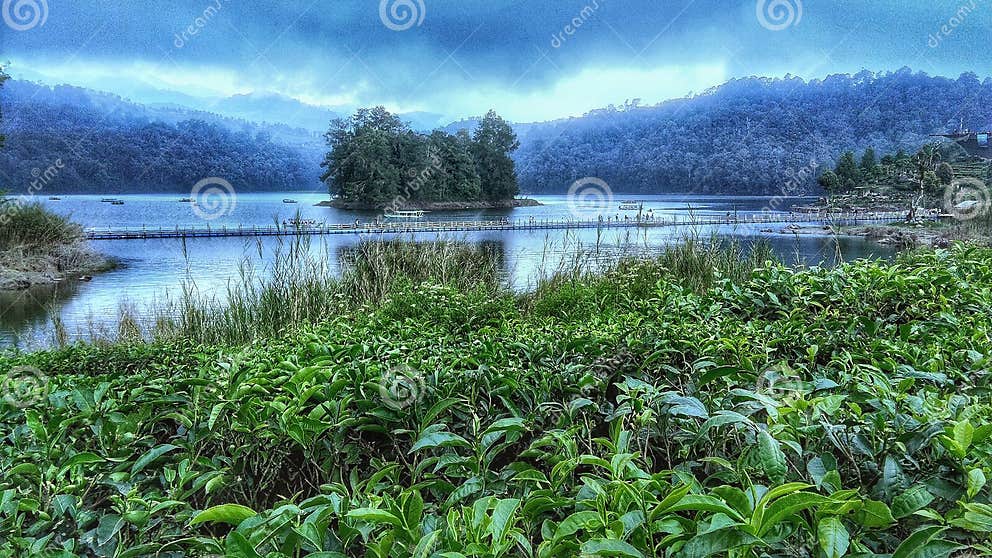 Lake side stock image. Image of lake, hill, garden, indonesia - 100040613