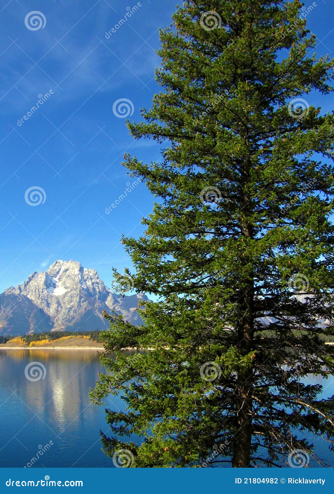 Lake Side Tree stock photo. Image of mountains, tree - 21804982