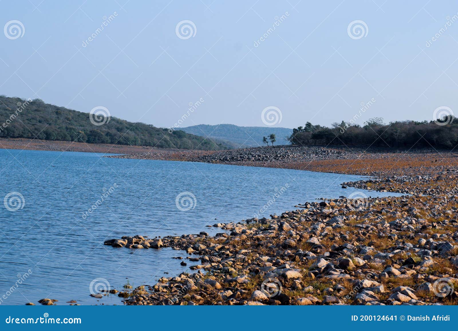 Lake Side View in the Forest Stock Image - Image of forest, water ...