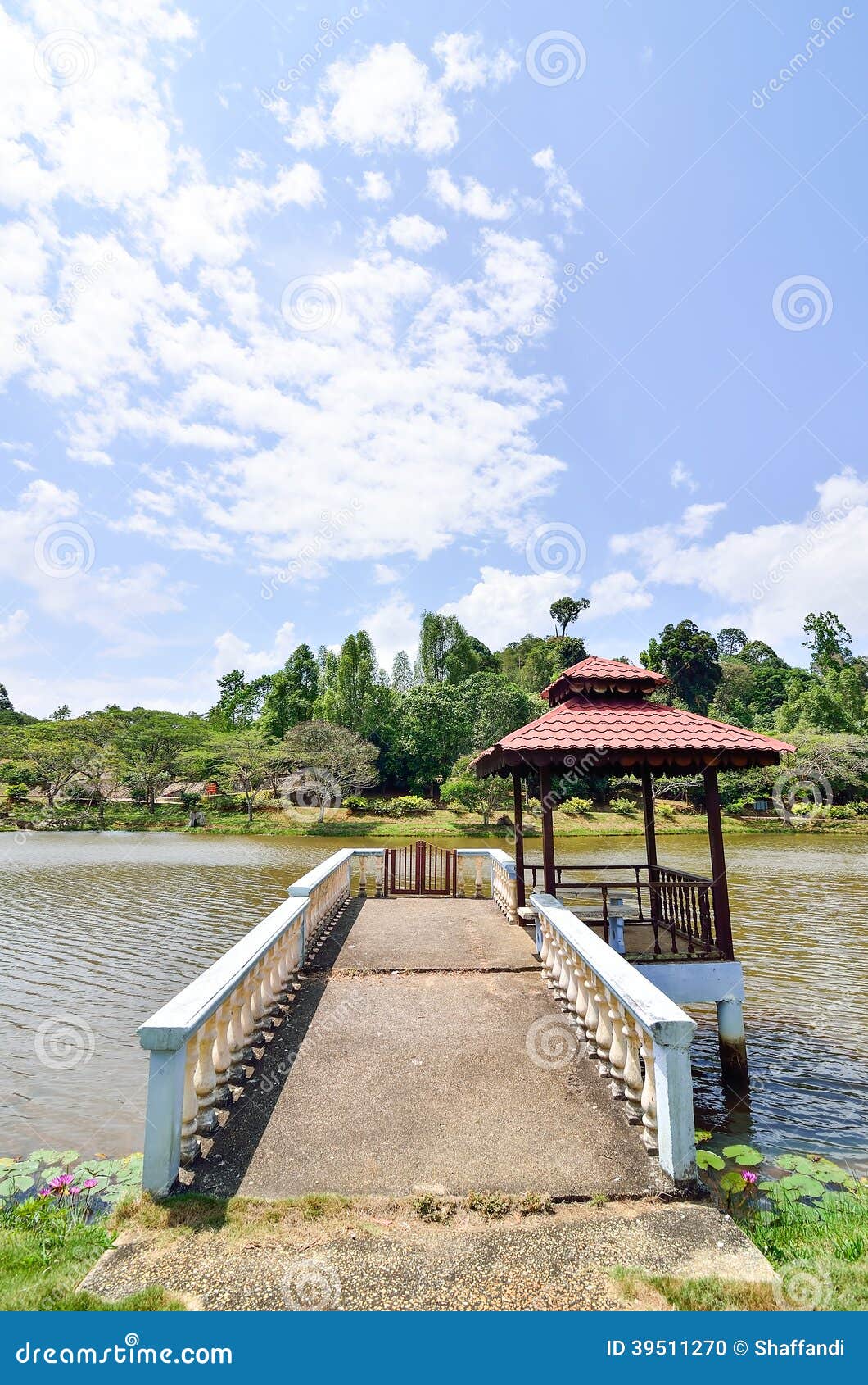 Lake side view stock photo. Image of beauty, blue, landscape - 39511270