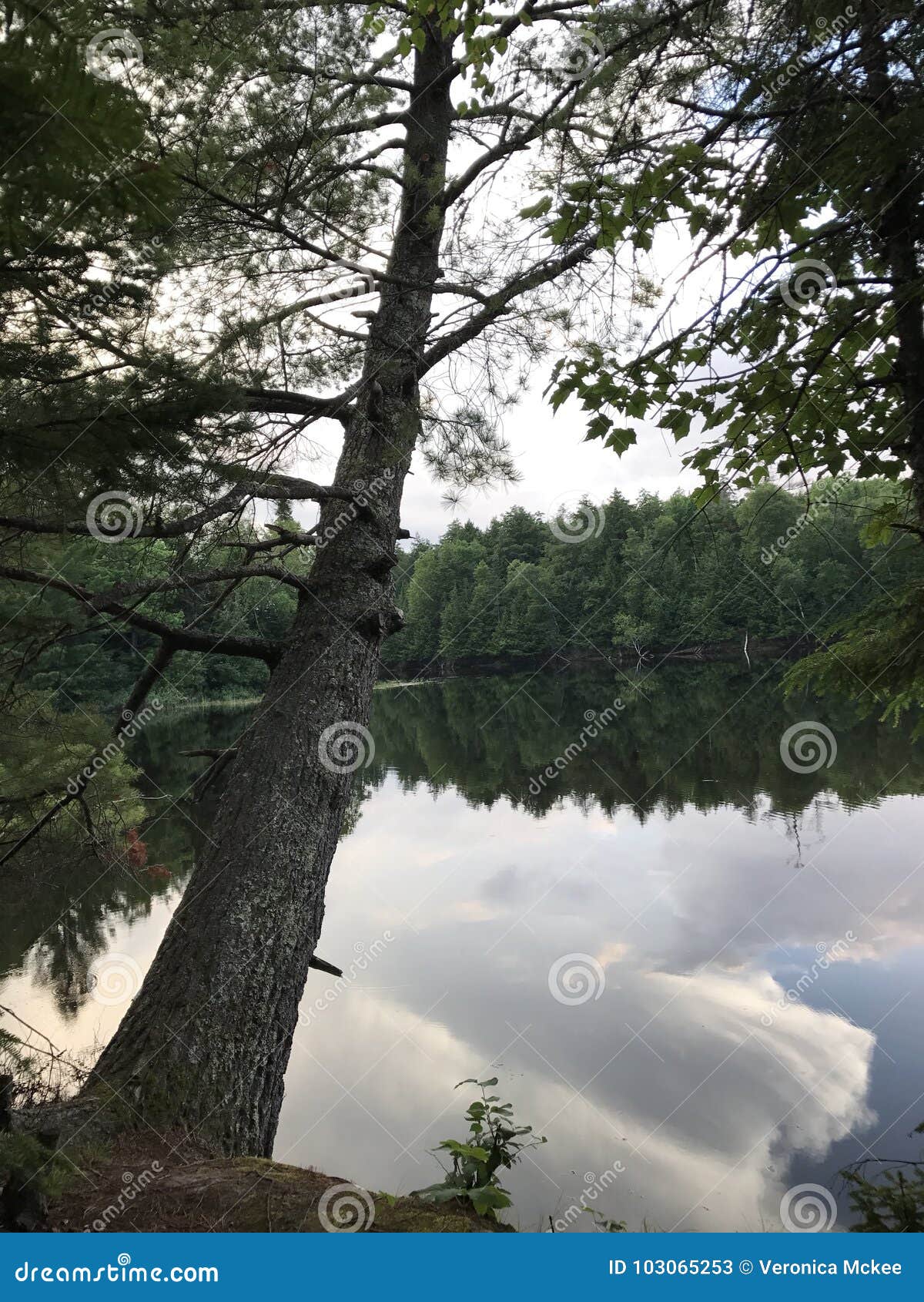 Lake side view stock image. Image of nature, water, lake - 103065253