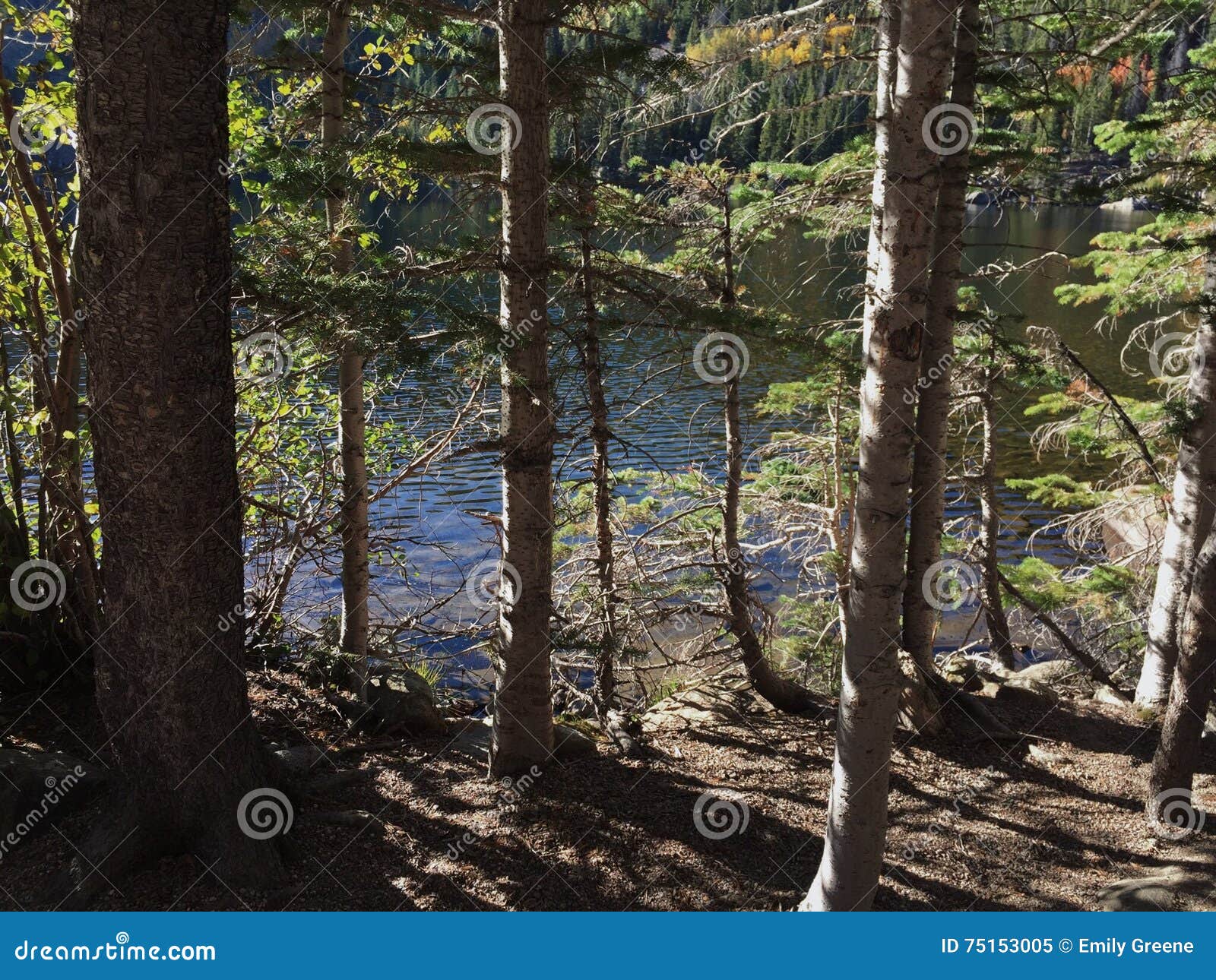 Lake side stock image. Image of view, side, lake, trees - 75153005