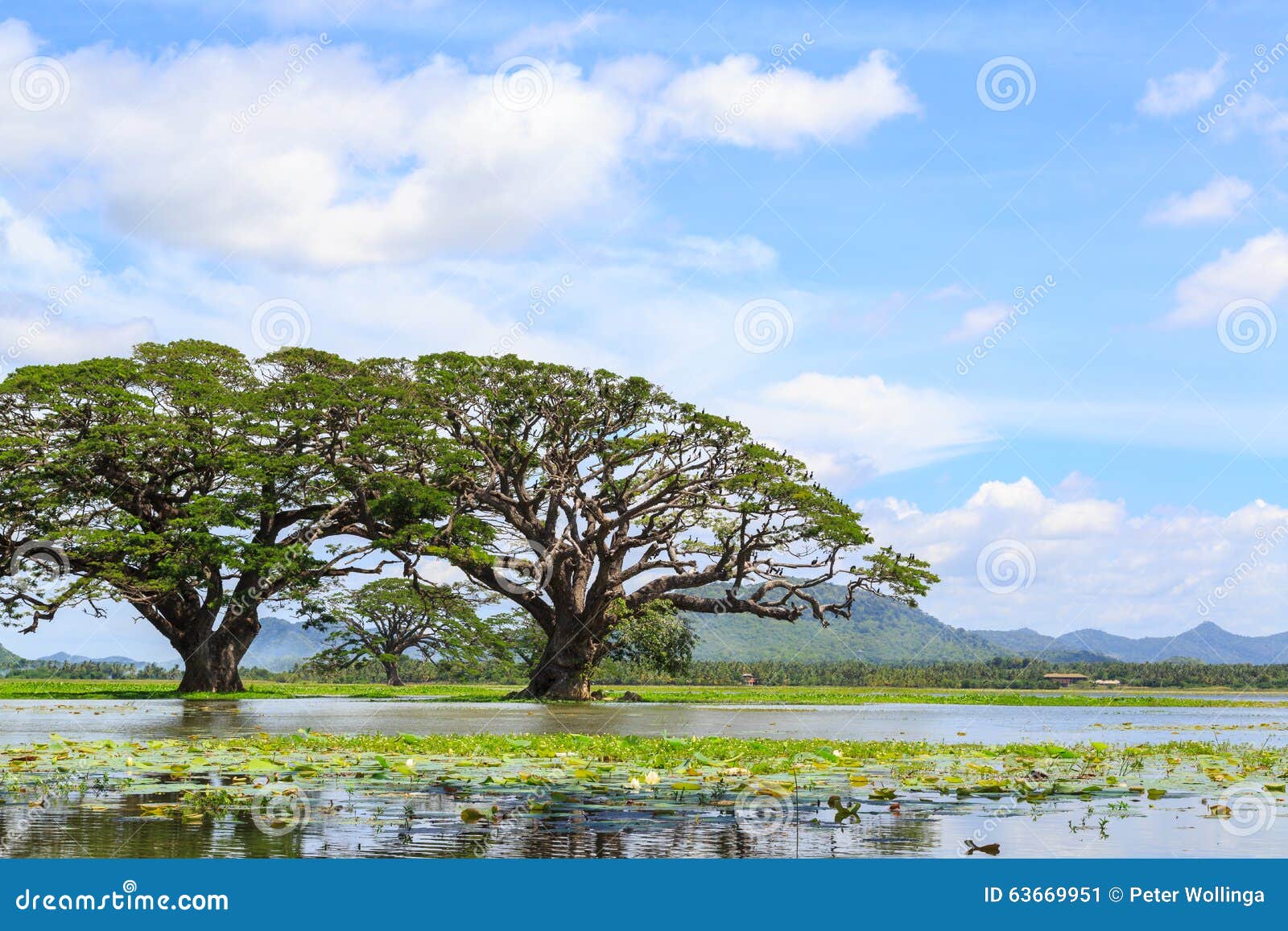 Lake Side View with Trees and Mountains Stock Image - Image of national ...
