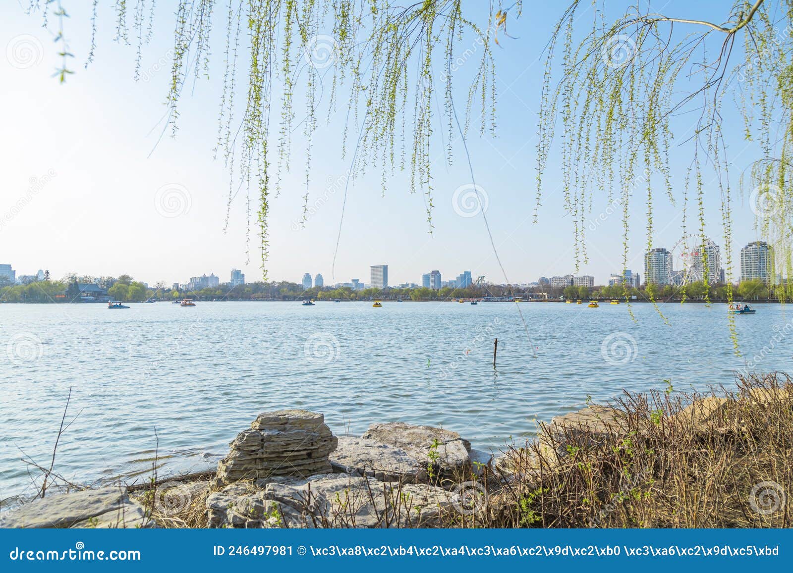 The Lake Skyline of Tianjin Water Park Stock Image - Image of park ...