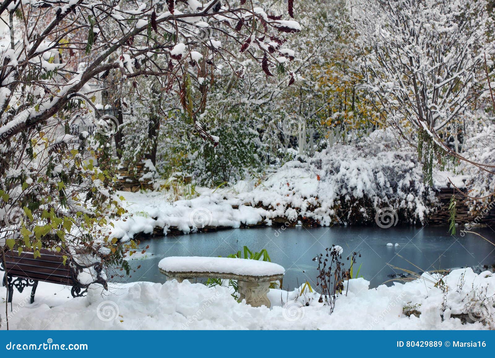 By Lake in the Snow stock image. Image of seasonal, wintertime - 80429889