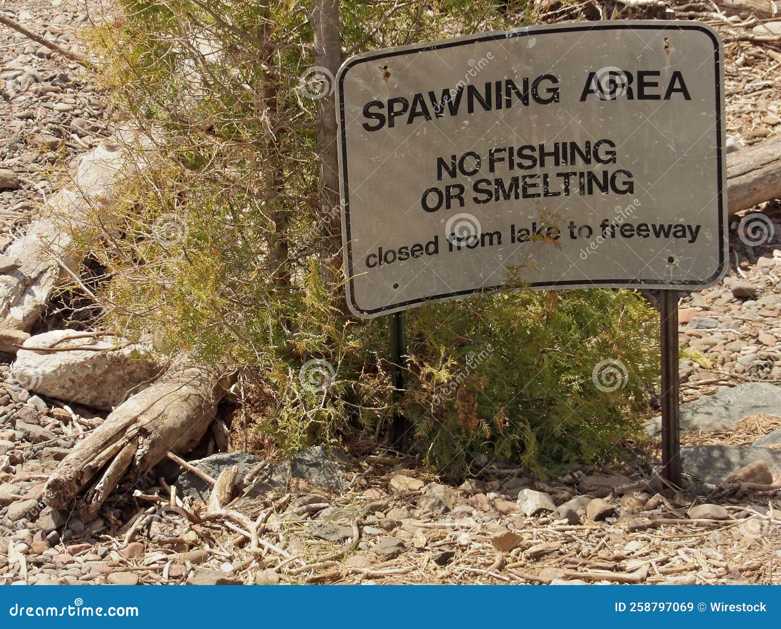 Lake Spawning Area Sign in the River Stock Image - Image of cloud ...