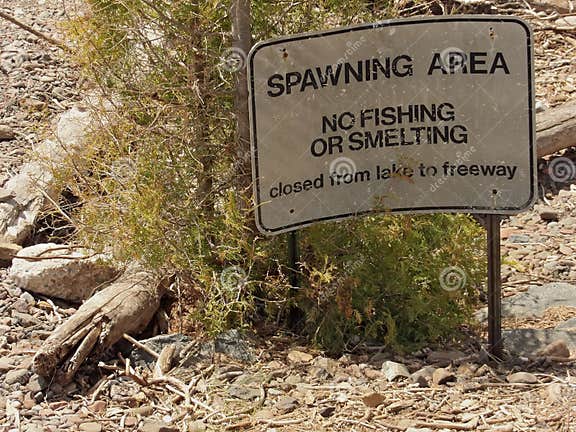 Lake Spawning Area Sign in the River Stock Image - Image of cloud ...