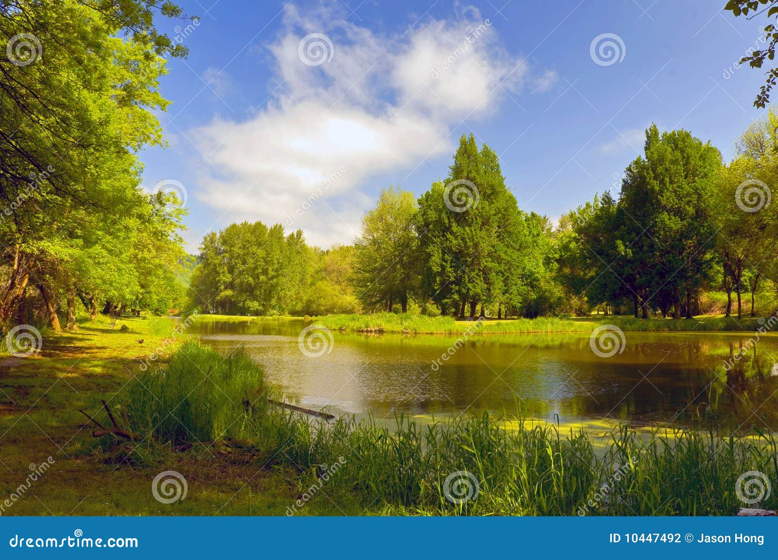 Lake in Spring stock photo. Image of vibrant, nature - 10447492
