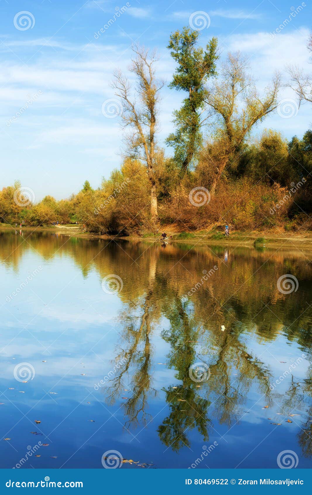 Lake in spring stock photo. Image of rural, scenic, plant - 80469522