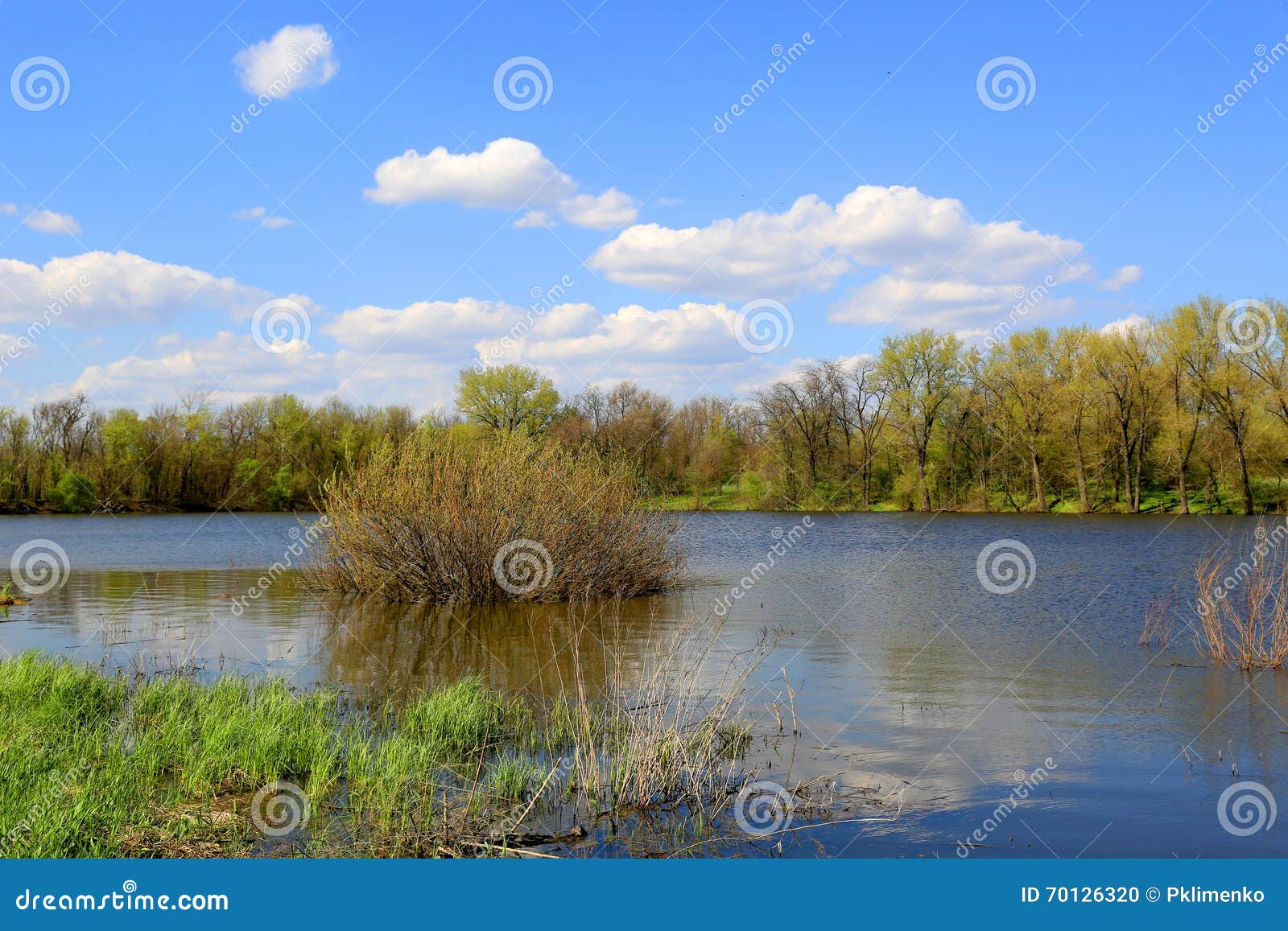 Lake at spring time stock photo. Image of spring, creek - 70126320