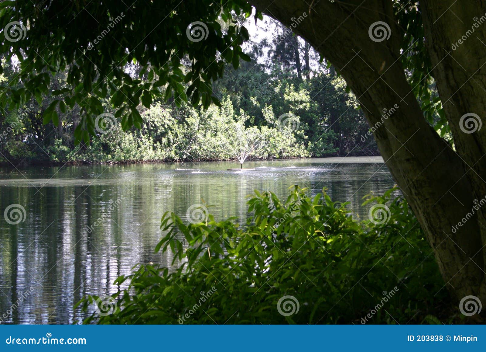 Lake on a summer afternoon stock photo. Image of green - 203838