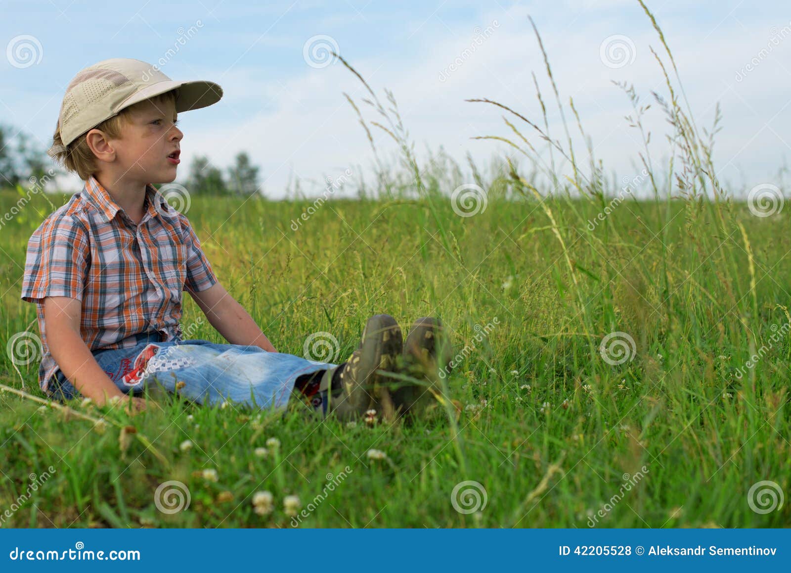 The lake in summer stock photo. Image of river, beach - 42205528
