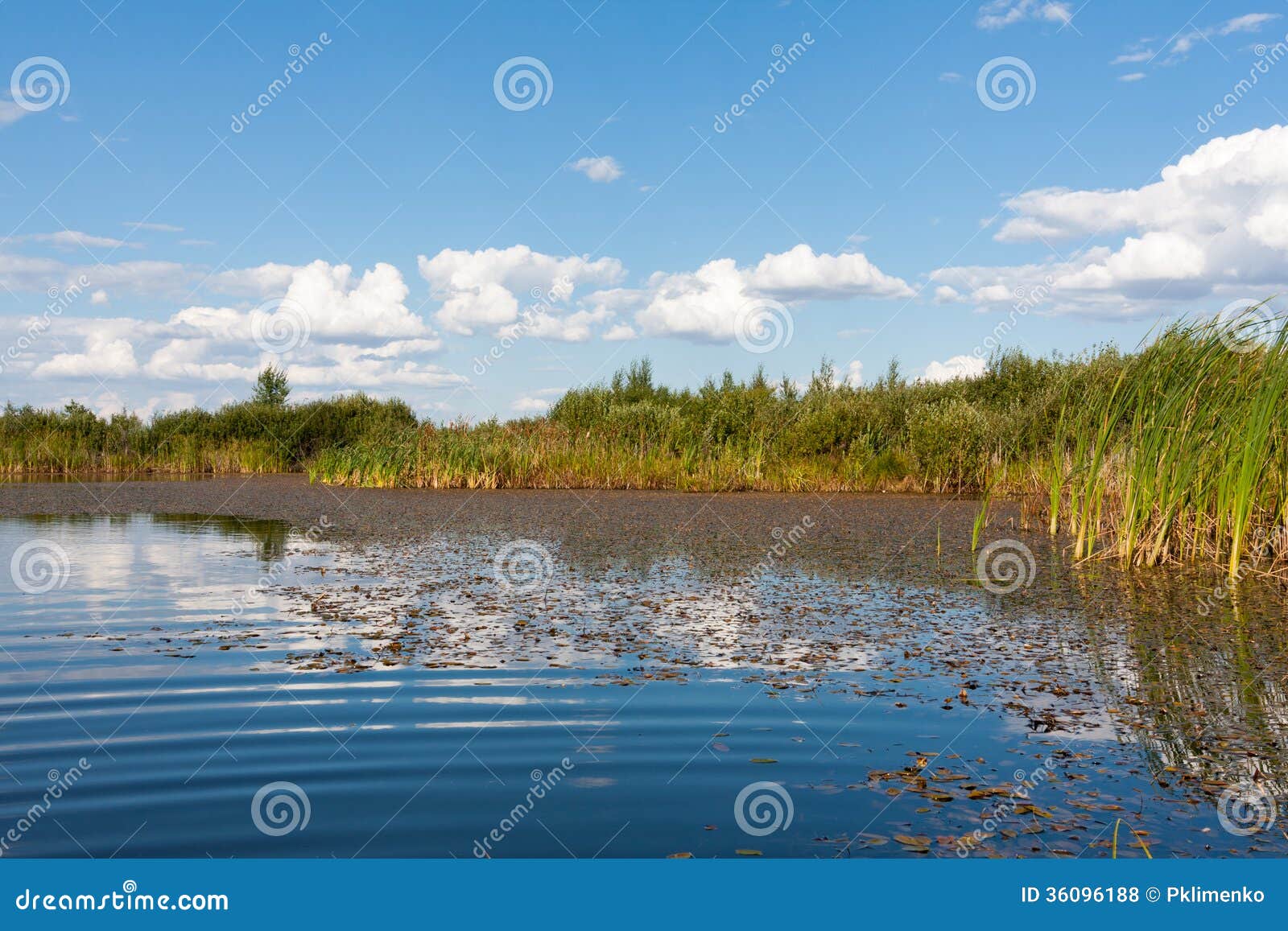 Lake in summer day stock photo. Image of horizon, outdoor - 36096188