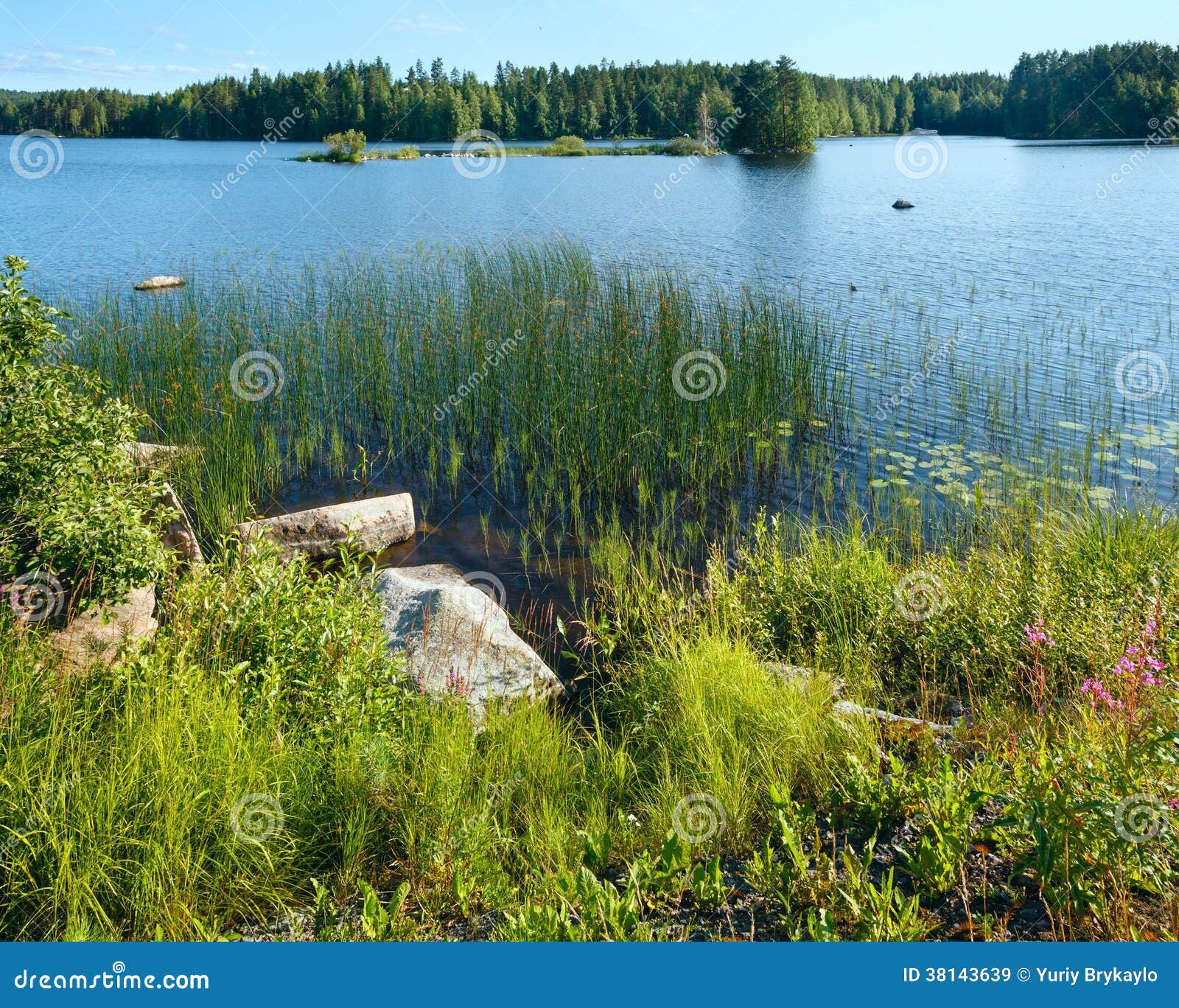 Lake Summer View (Finland). Stock Image - Image of travel, reflection ...