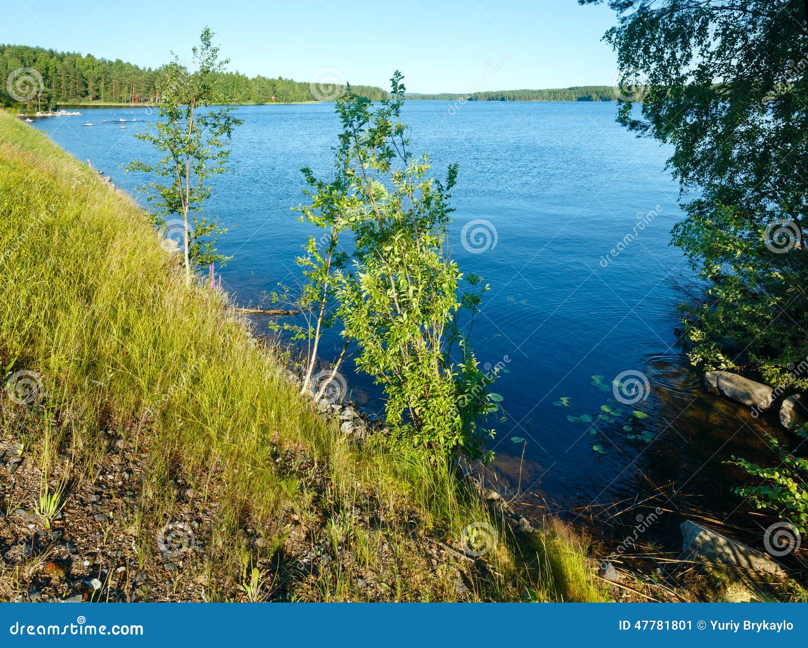 Lake Summer View (Finland). Stock Image - Image of blue, surface: 47781801