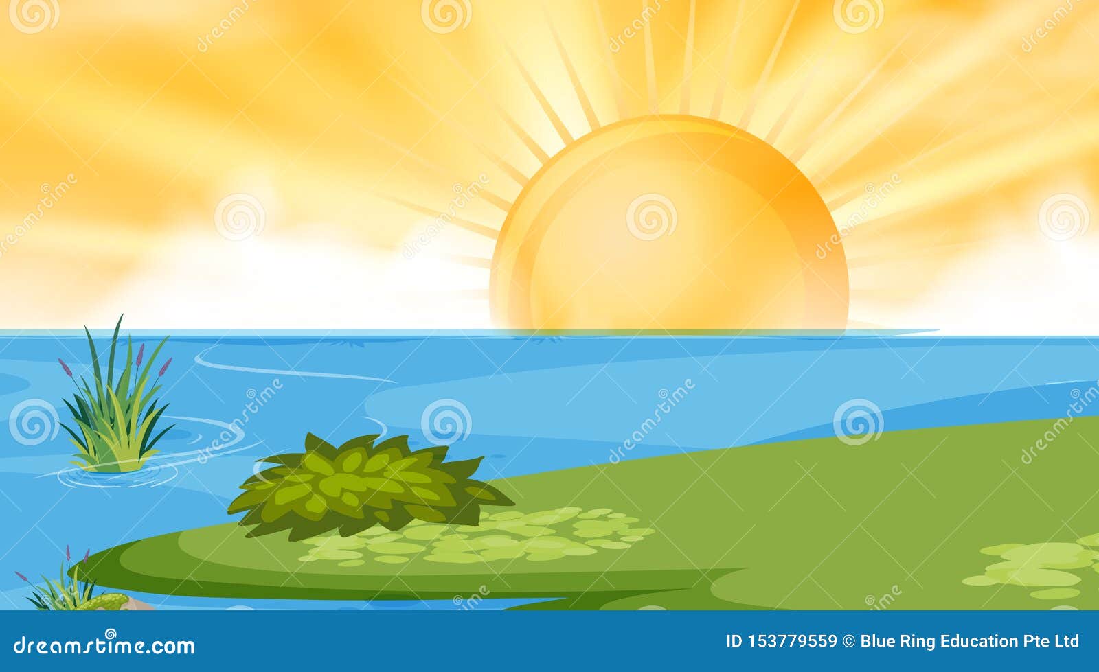 Lake sun background scene stock vector. Illustration of reeds - 153779559