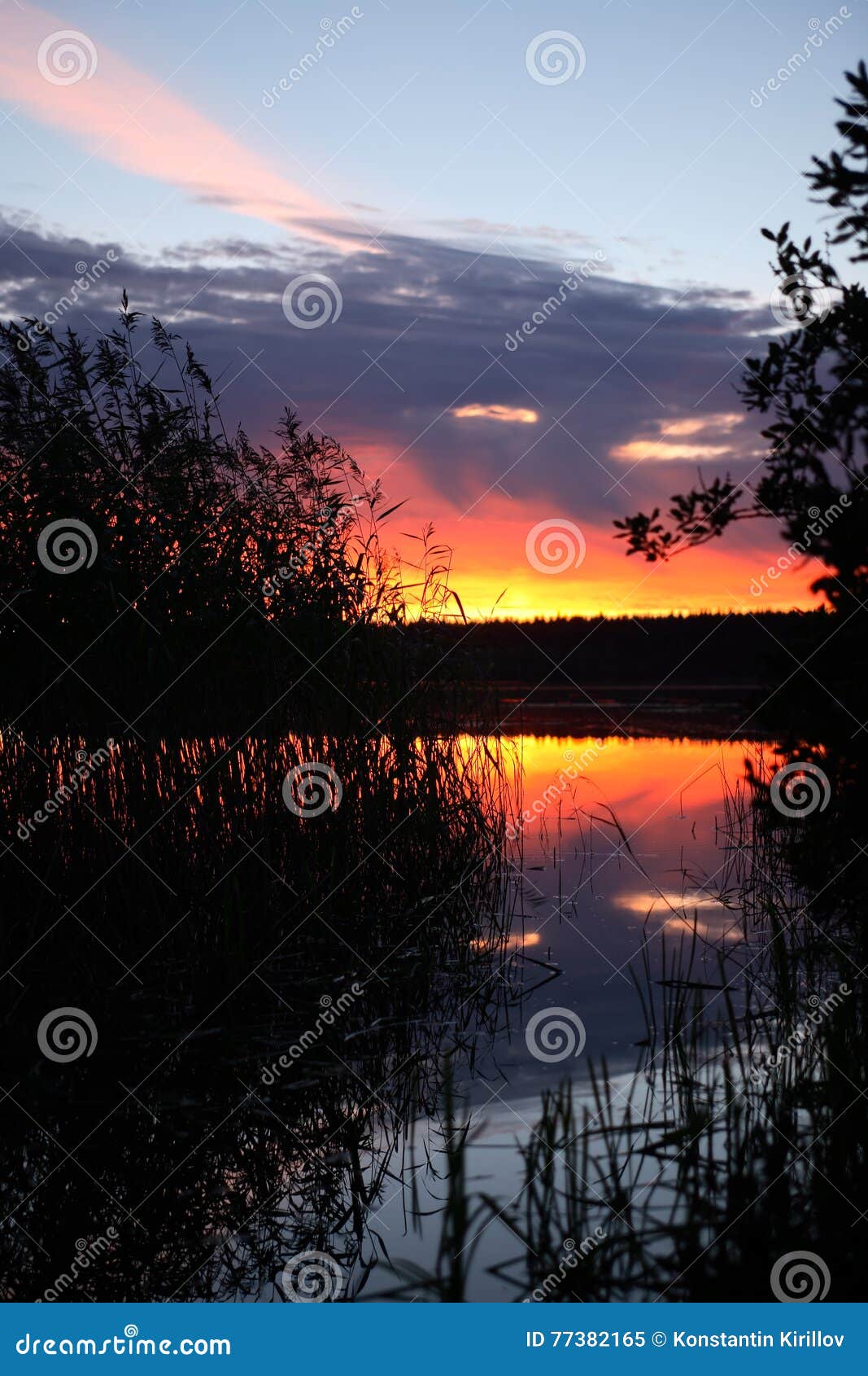 Lake at Sundown stock image. Image of forest, landscape - 77382165