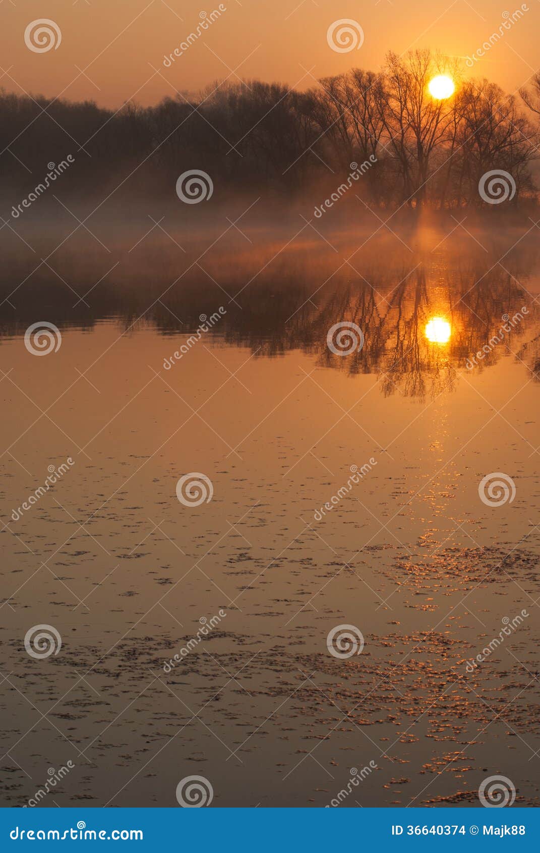 Lake with sunlight stock photo. Image of calm, nature - 36640374