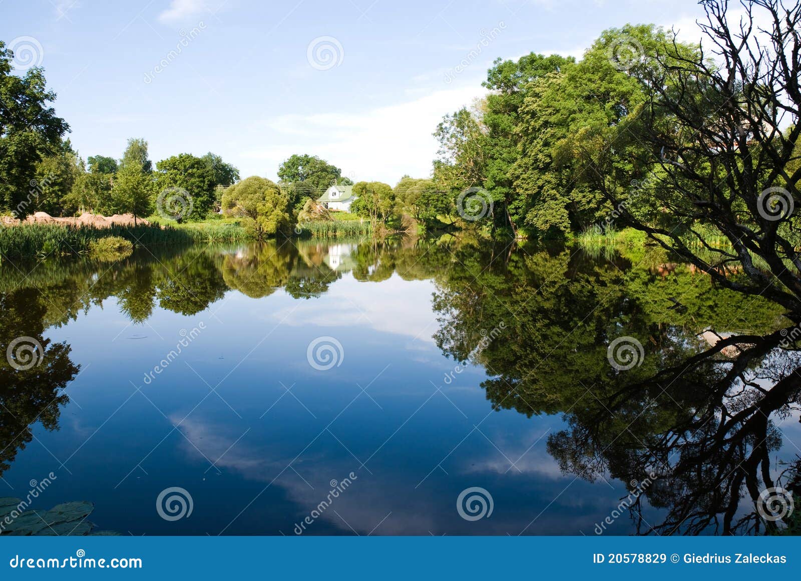 Lake on a sunny day stock image. Image of grass, summer - 20578829