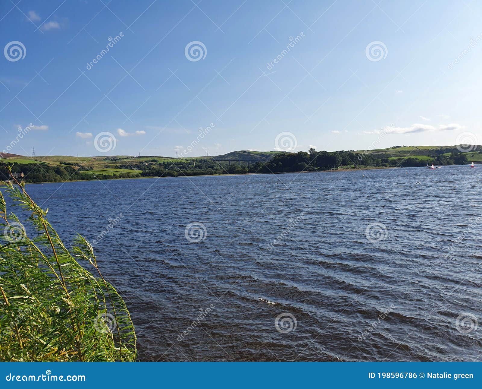 Lake sunny day water stock photo. Image of sunny, water - 198596786