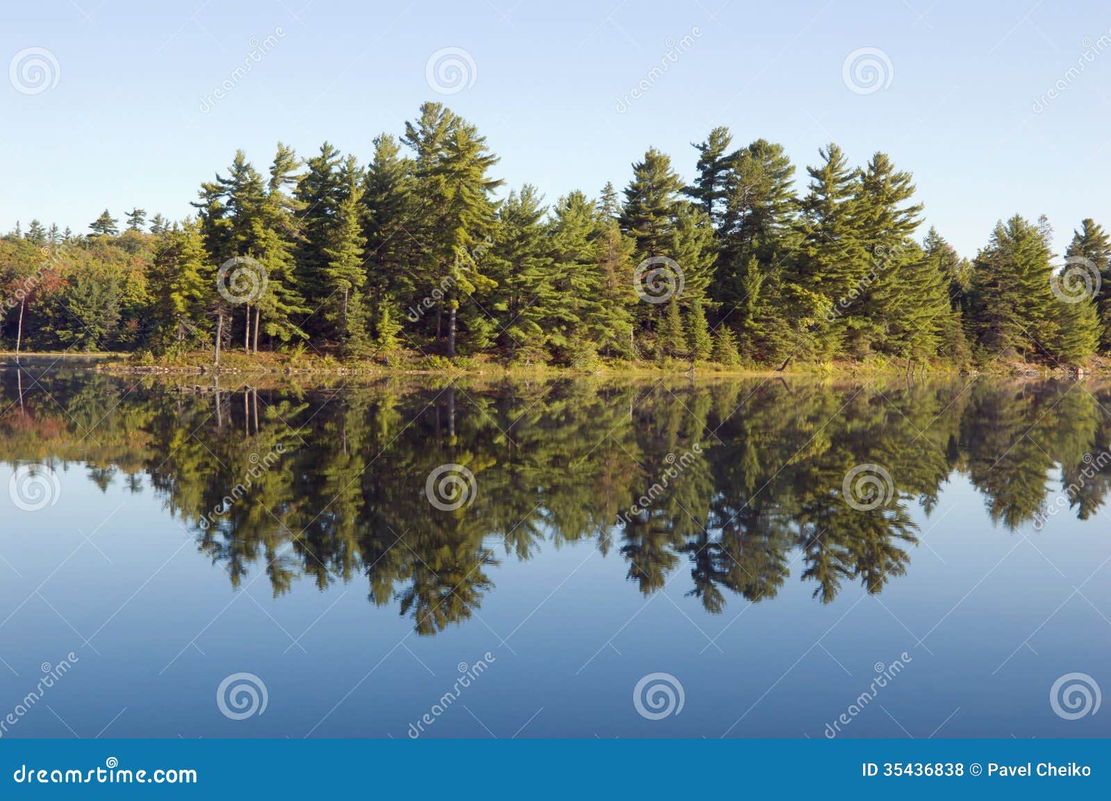 Lake stock photo. Image of plant, canada, gray, reflection - 35436838