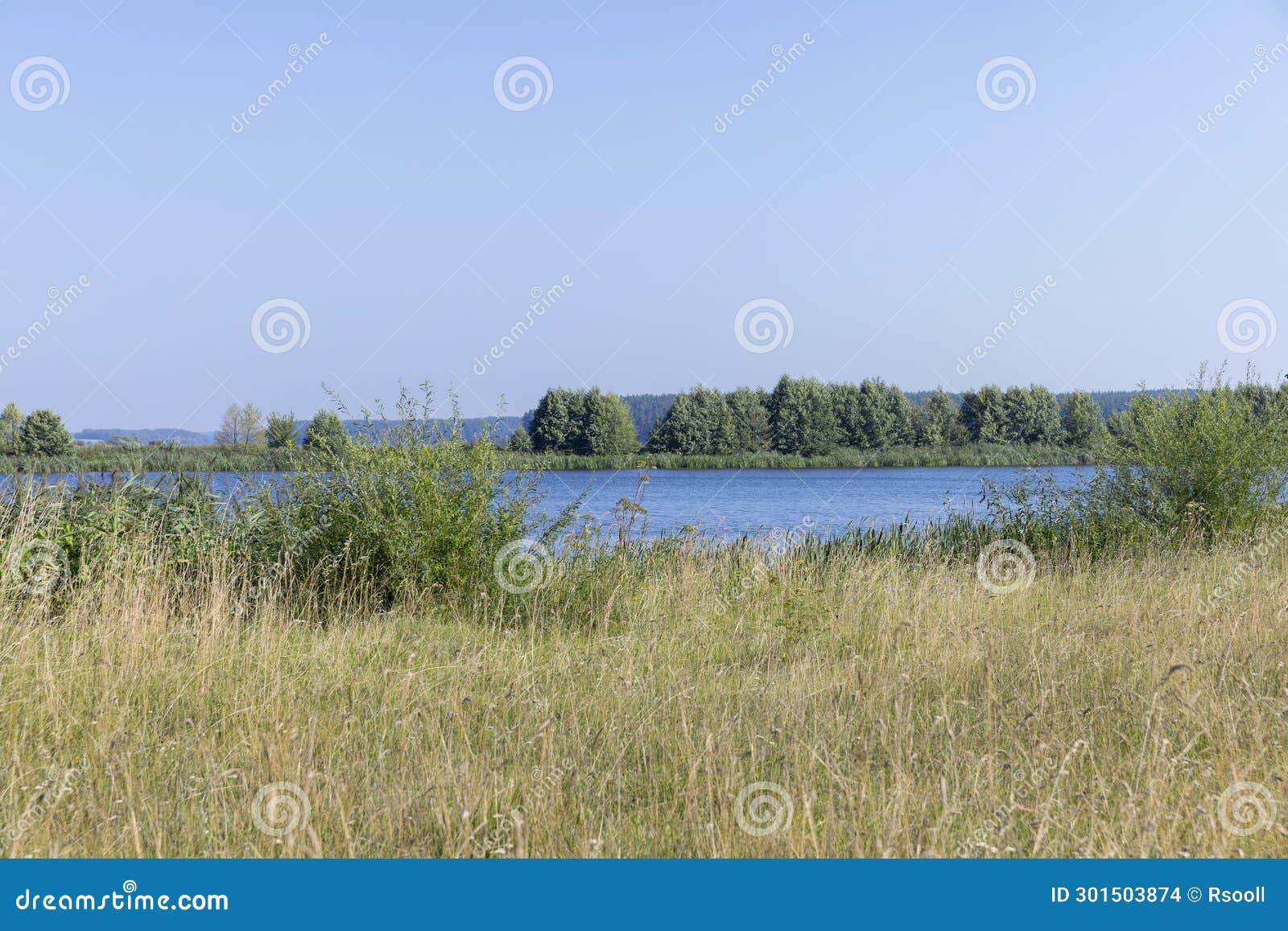Lake in Sunny Summer Weather Stock Photo - Image of river, tranquil ...