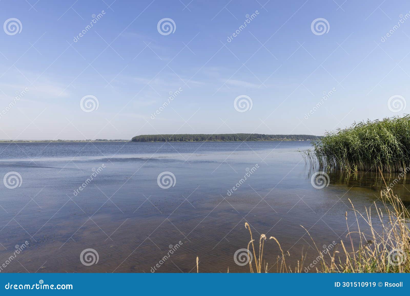 Lake in Sunny Summer Weather Stock Image - Image of equipment, weather ...