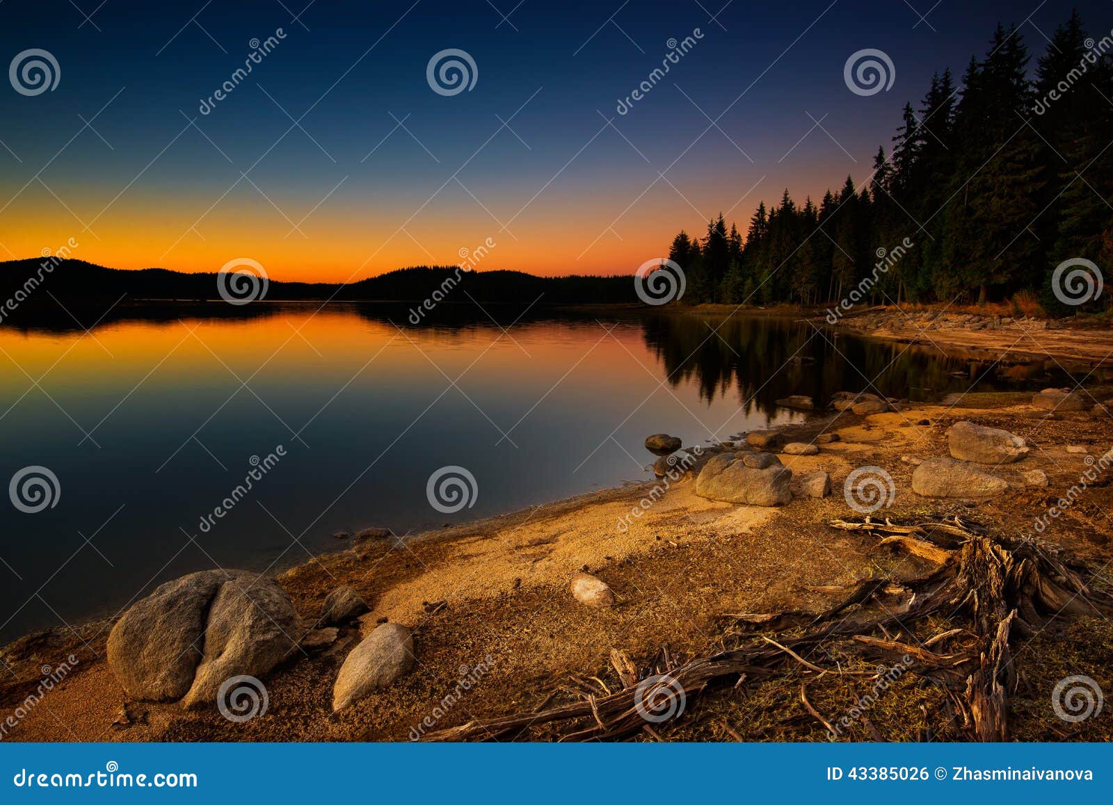 Lake sunset stock photo. Image of calmness, copy, forest - 43385026