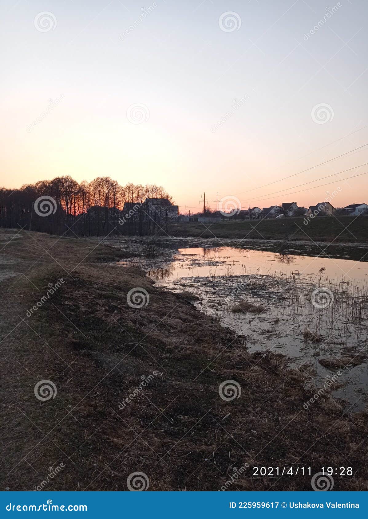 Lake at Sunset, Bright Red Sunset, Swamp in the Forest Stock Image ...