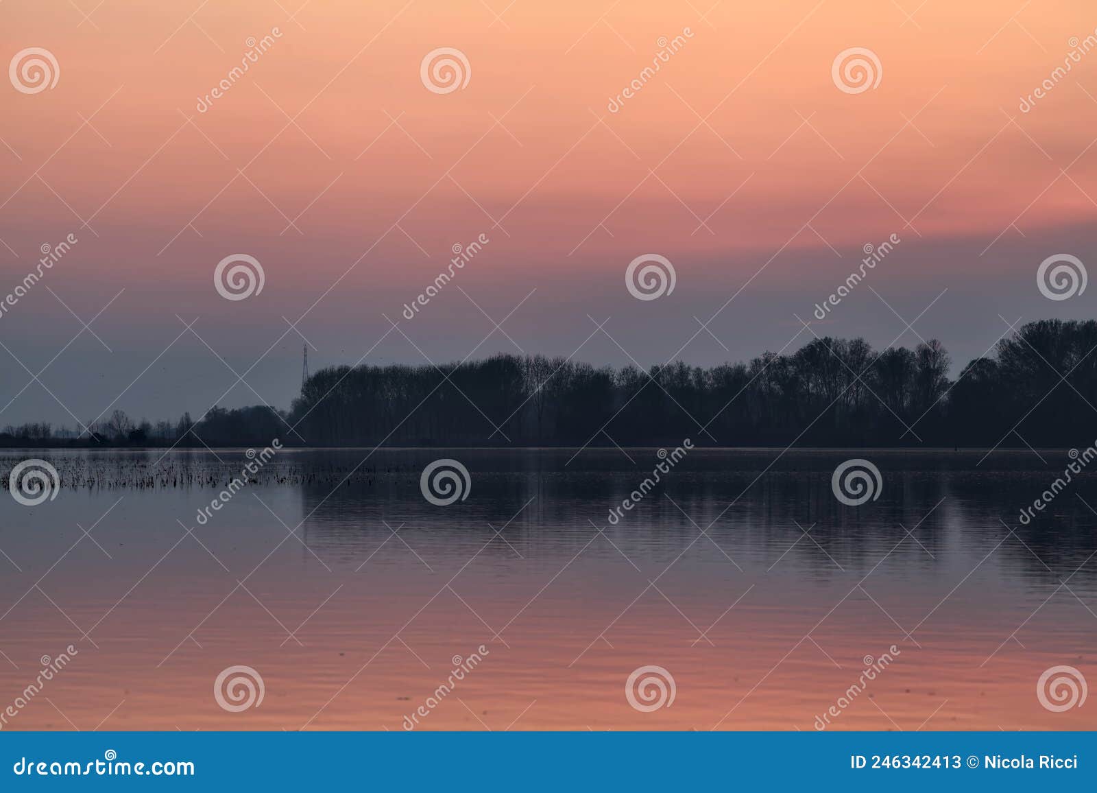 Lake at Sunset with a Forest in the Distance and the Sky Casted in the ...