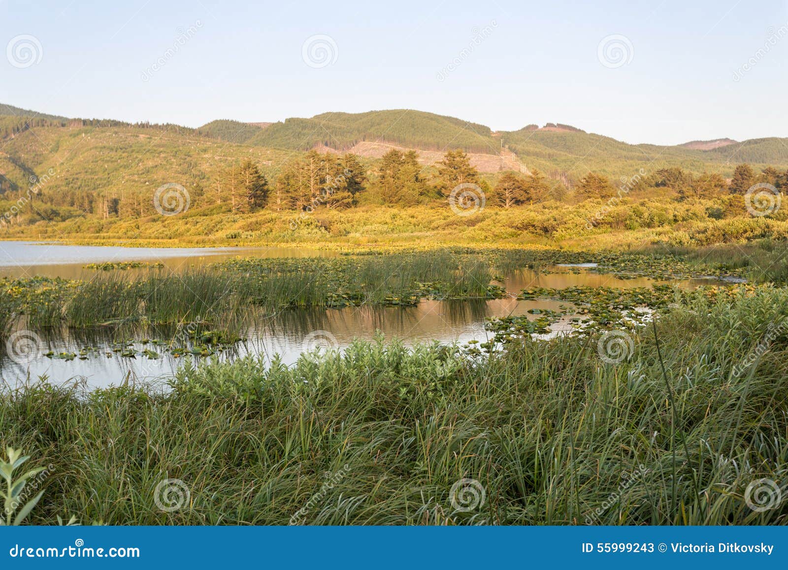 Lake at sunset stock image. Image of lake, hiking, lanscape - 55999243