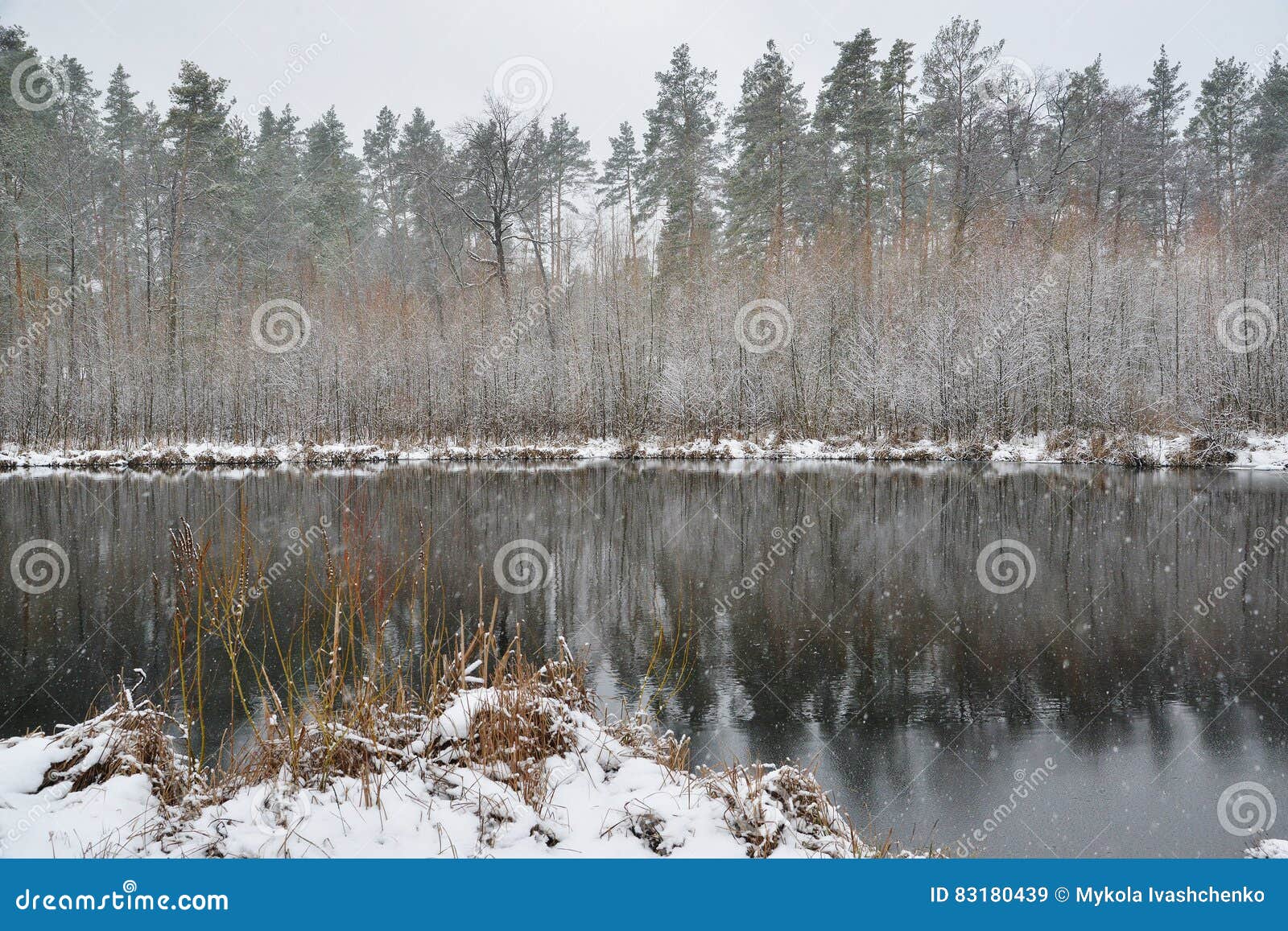 Lake Surrounded with Snowy Trees Stock Image - Image of season, weather ...