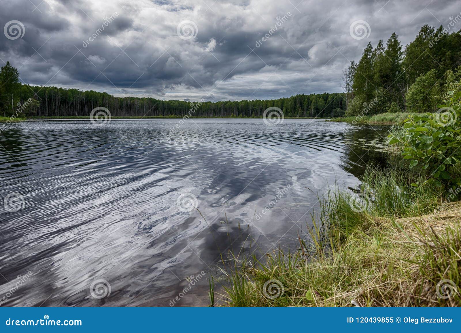 The Lake is Surrounded by a Thick Forest Along the Perimeter Stock ...