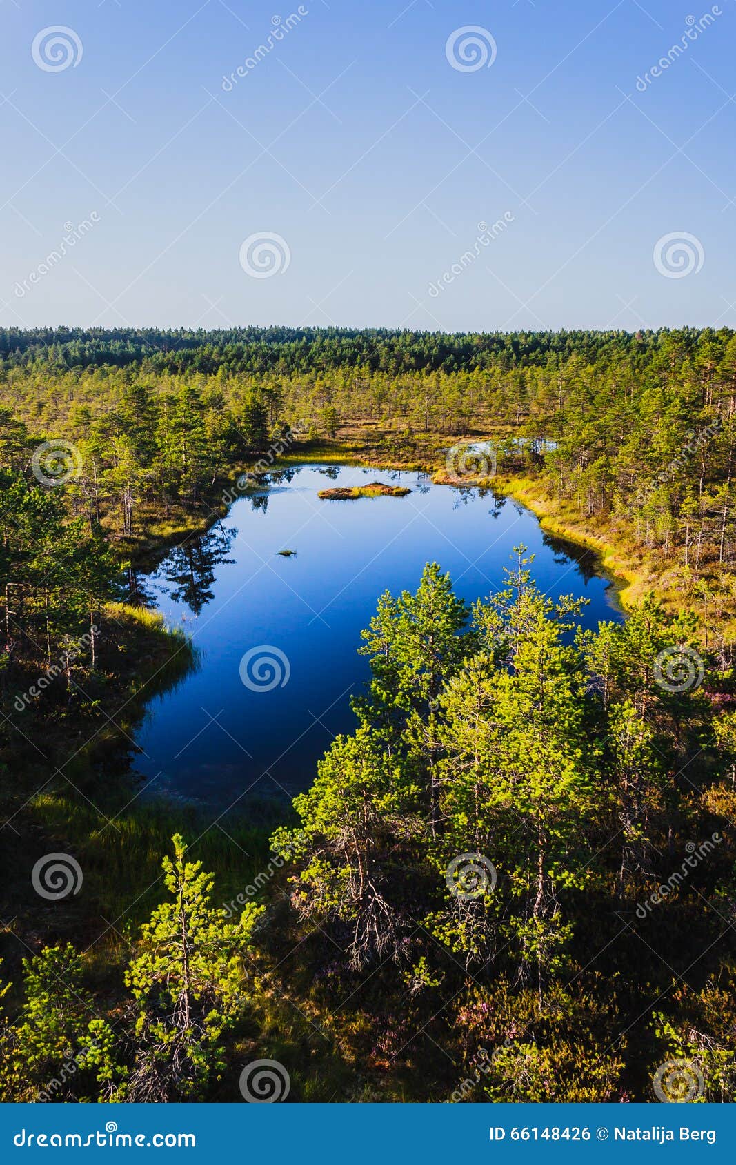 Viru Raba Swamp Lake. Royalty-Free Stock Photography | CartoonDealer ...