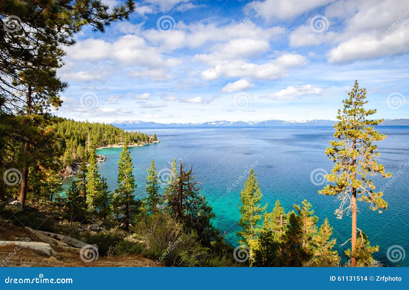 Lake Tahoe stock photo. Image of shore, blue, lake, united - 61131514