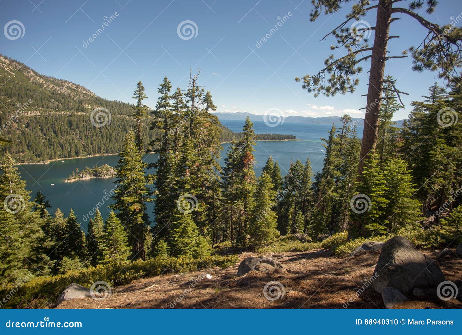 Lake Tahoe through Trees stock photo. Image of park, water - 88940310