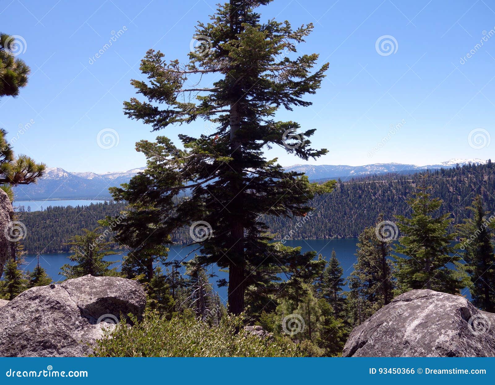 Lake Tahoe View stock photo. Image of trees, nevada, view - 93450366