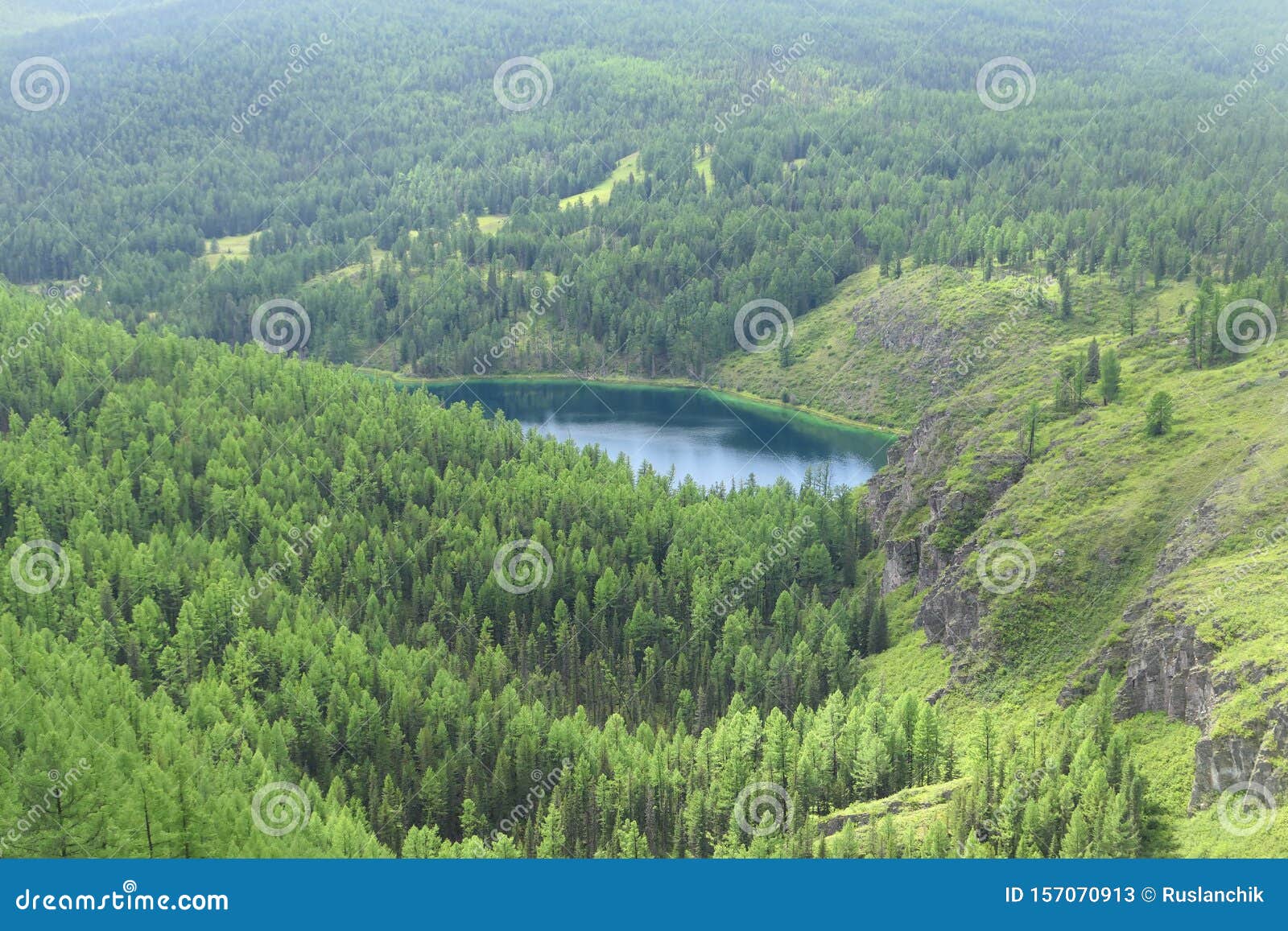 Lake in taiga stock image. Image of altai, russia, taiga - 157070913