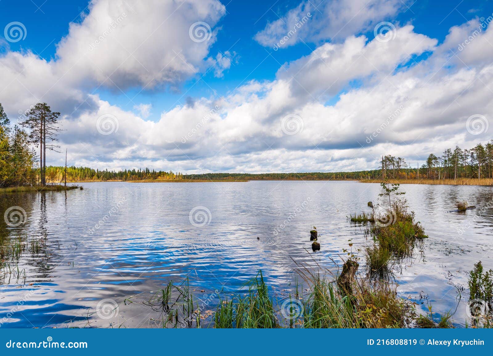 Lake in the taiga stock image. Image of travel, season - 216808819