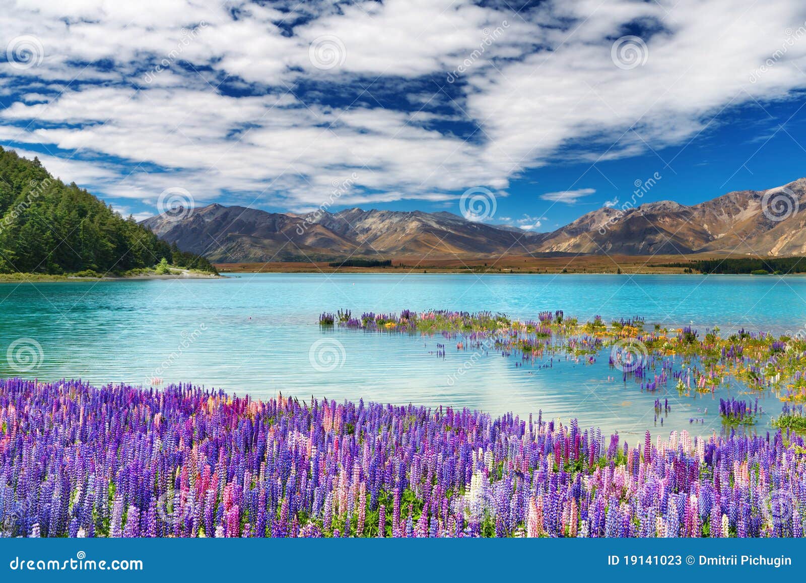 Lake Tekapo, New Zealand stock image. Image of scenery - 19141023