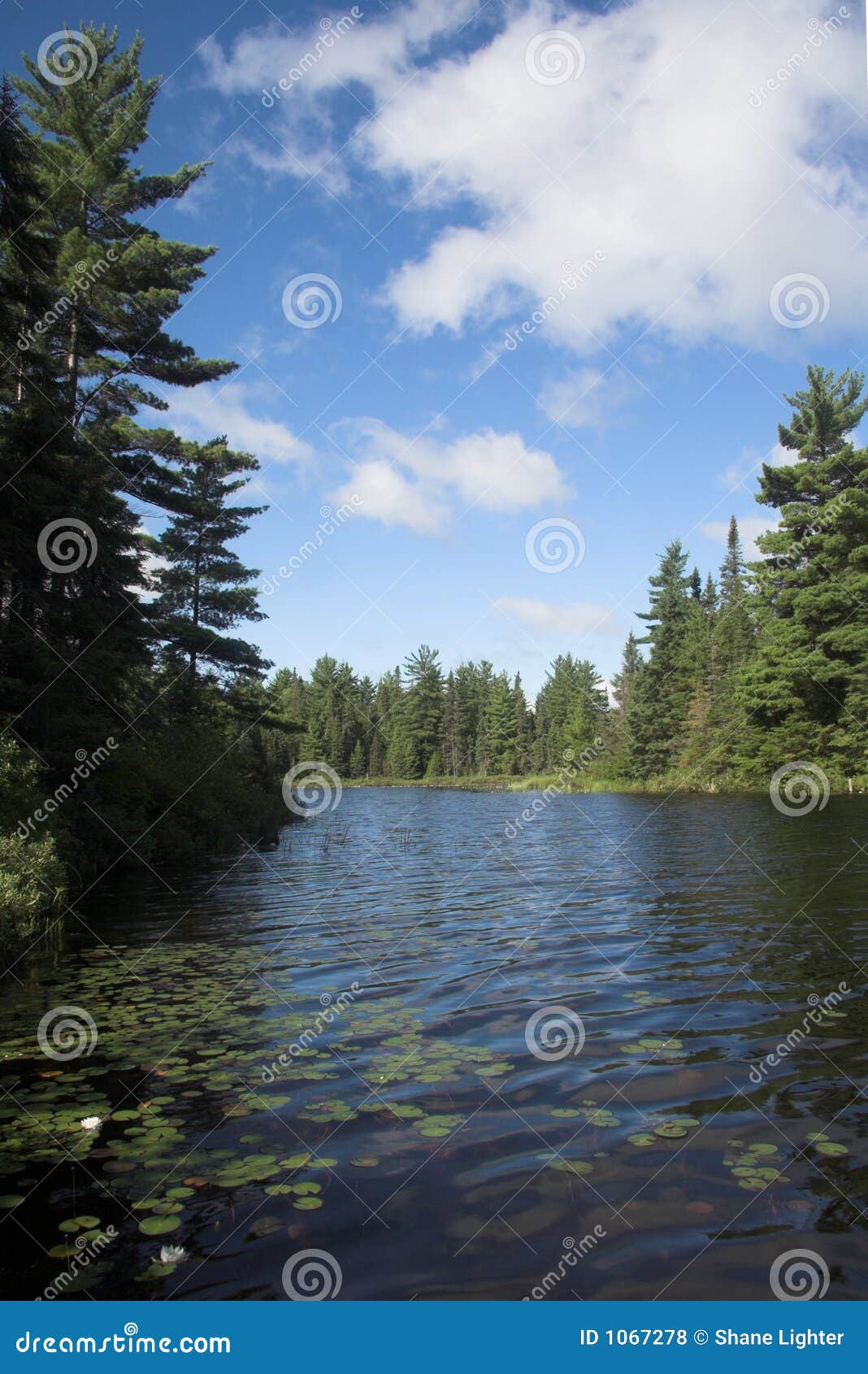 Lake Temagami Stock Photos - Free & Royalty-Free Stock Photos from ...