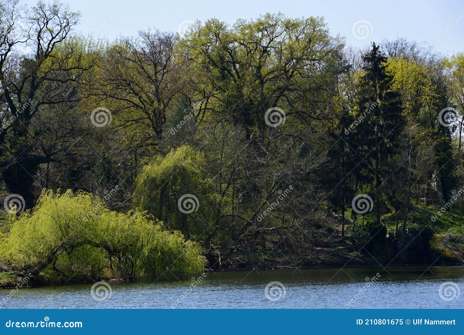 Lake Teufelssee in Spring in the Forest Grunewald, Berlin Stock Image ...