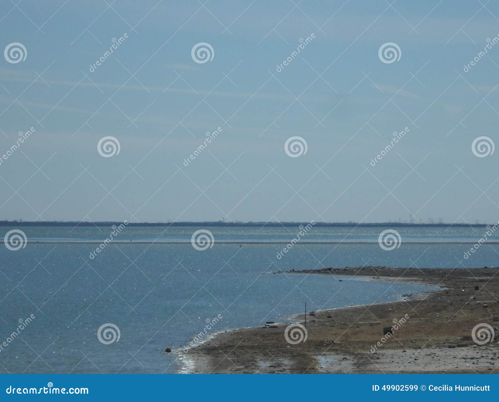 Lake stock image. Image of texas, lake, wetland, estuary - 49902599